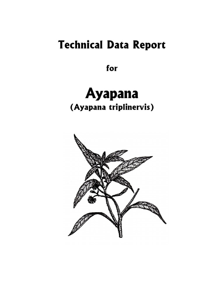 Ayapana Tech Report | PDF | Vomiting | Aspergillus