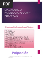 Diagnostico Pulpar y Periapical | PDF | Dolor | Inflamación