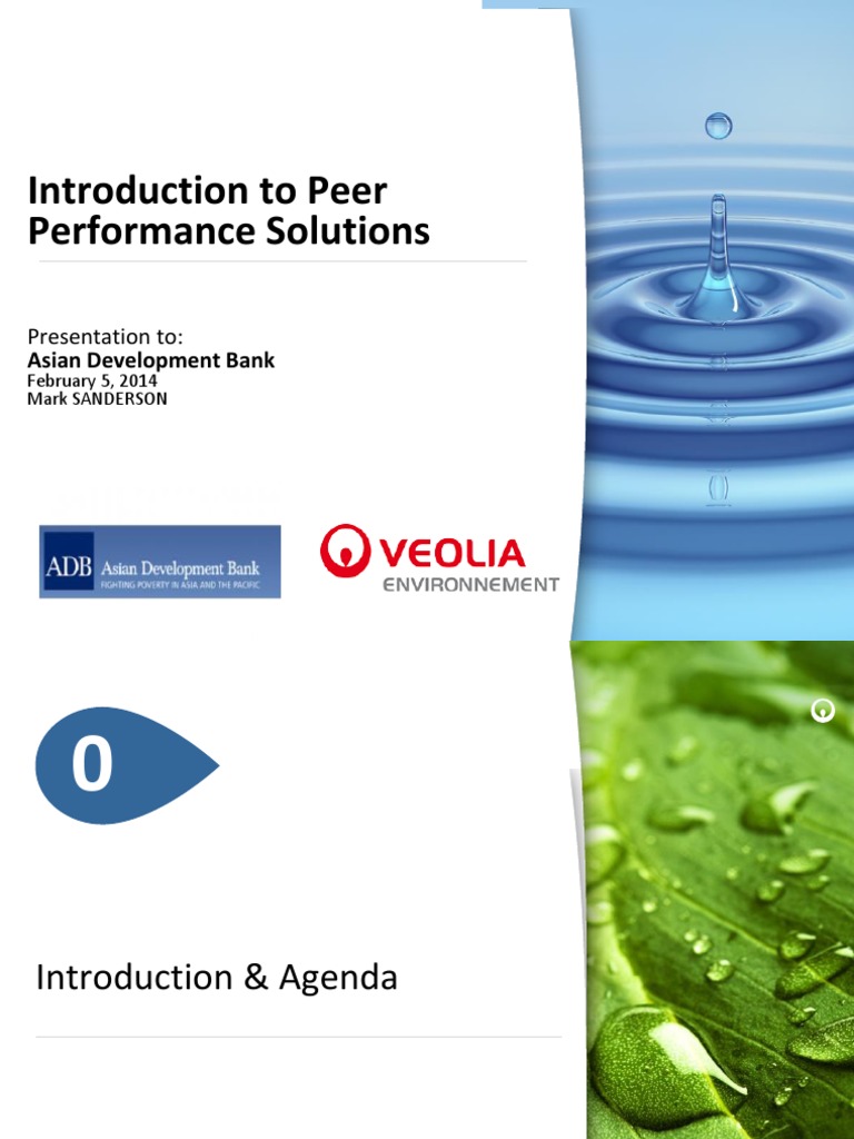 Introduction To Peer Performance Solutions | PDF | Consultant | Anaerobic Digestion