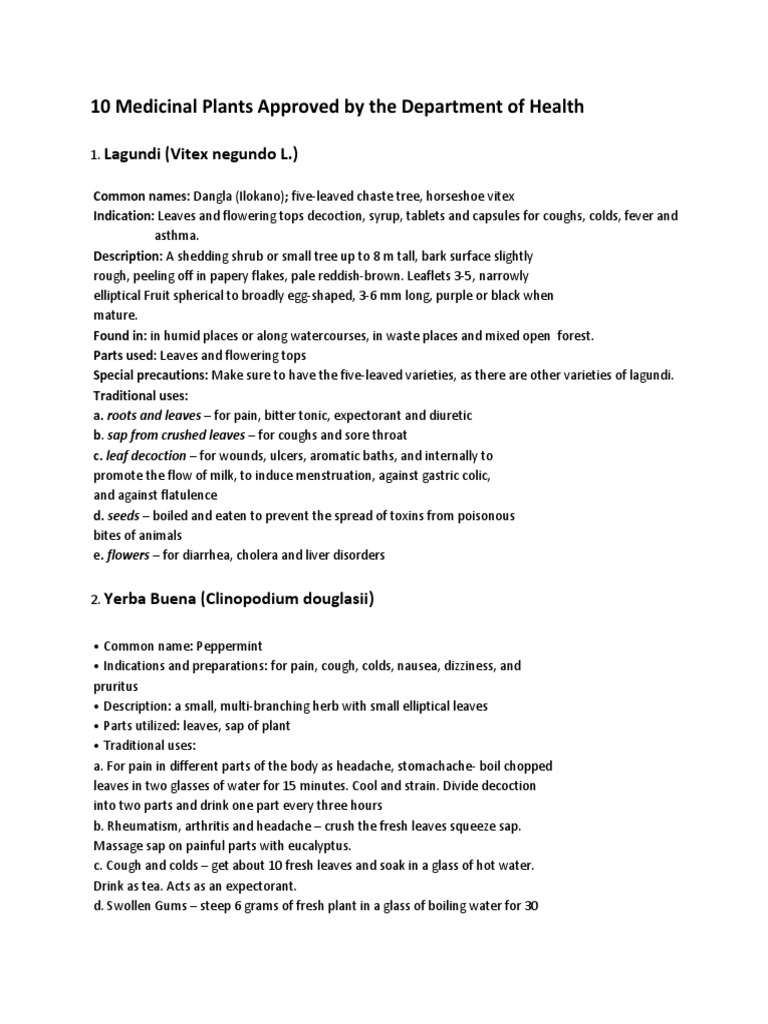 Lubby Santa | PDF | Horticulture And Gardening | Plants