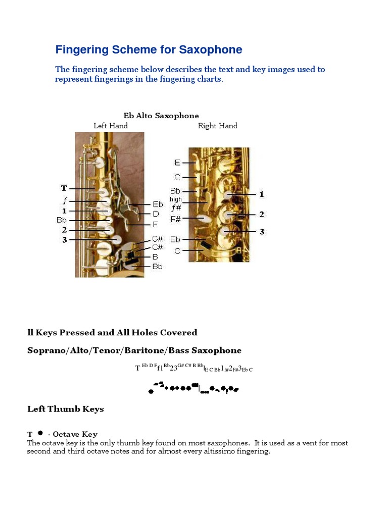 Fingering Scheme For Saxophone | PDF | Saxophone | Music Theory