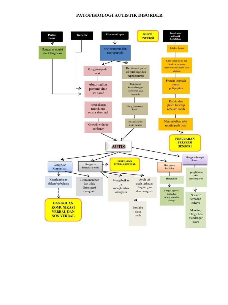 Pathway Autistik Dan Gejala | PDF