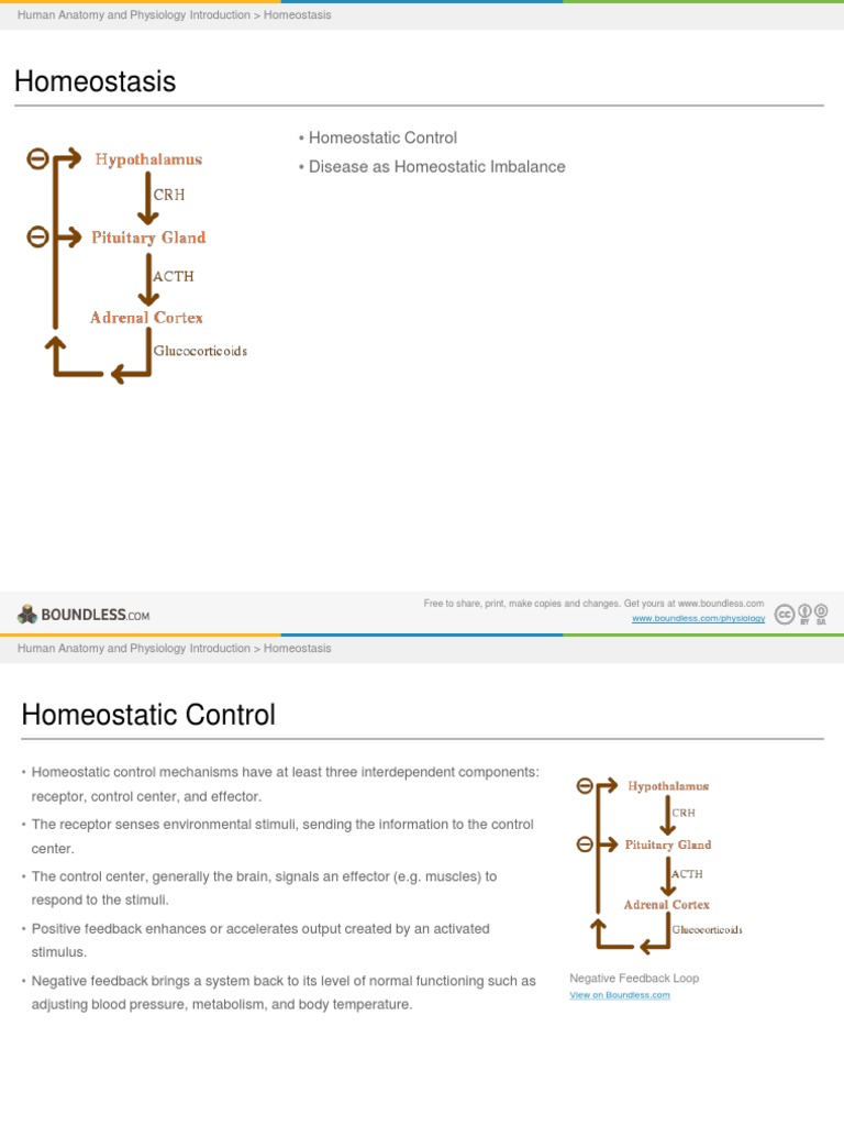 Homeostasis: Homeostatic Control Disease As Homeostatic Imbalance ...