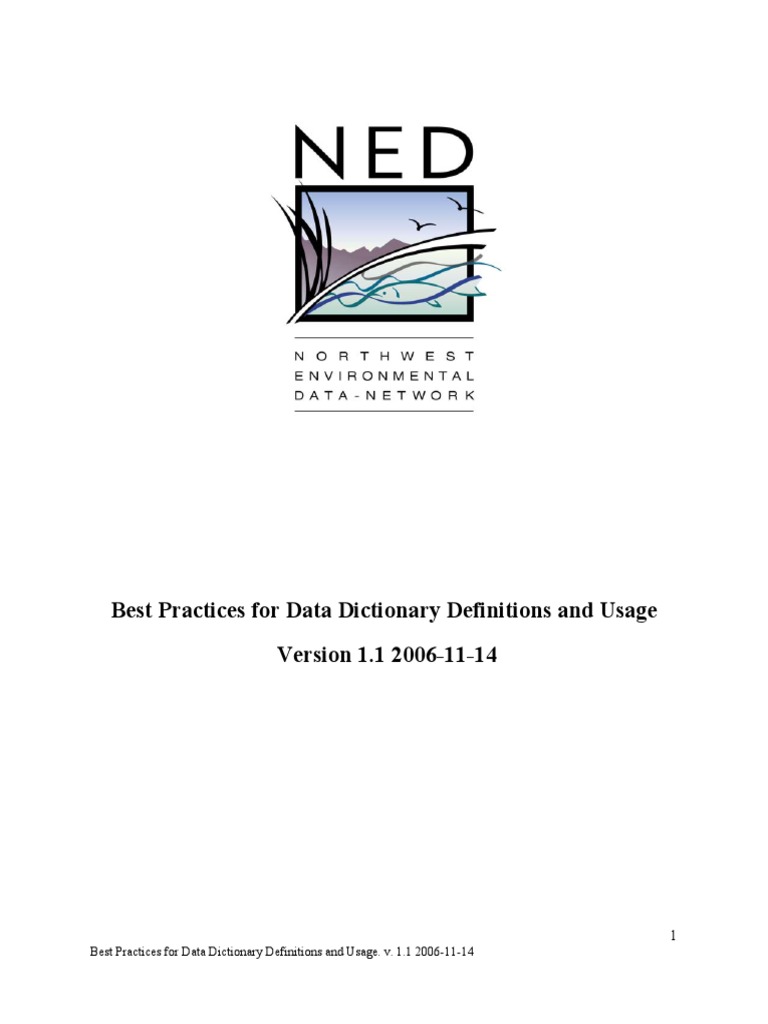 Data Dictionary Good Practices | PDF