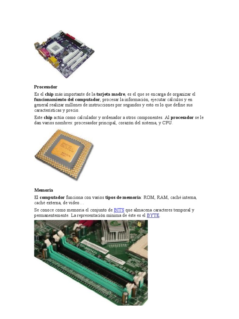 Partes Internas de Hardware | PDF | Hardware de la computadora | Disco duro