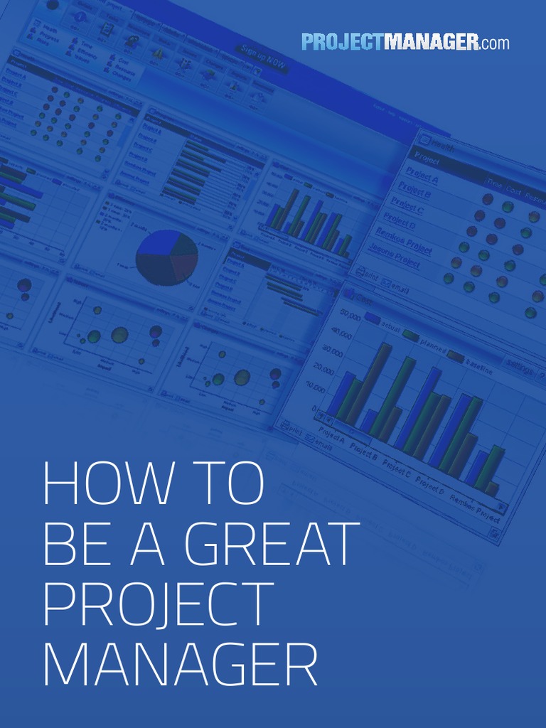 How To Be A Great Project Manager | PDF | Mentorship | Goal