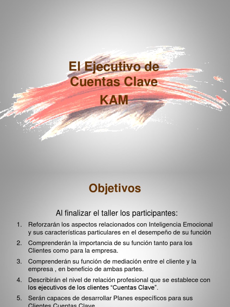 KAM - Funciones y Características | PDF | Planificación | Marketing