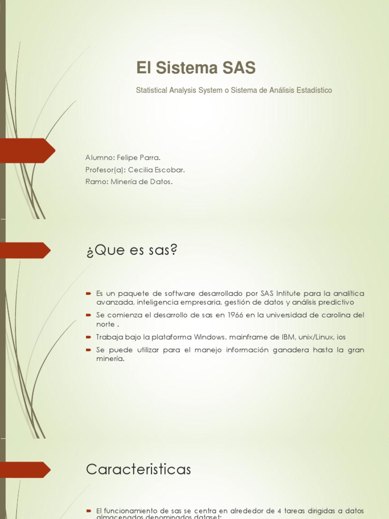 El Sistema SAS | PDF
