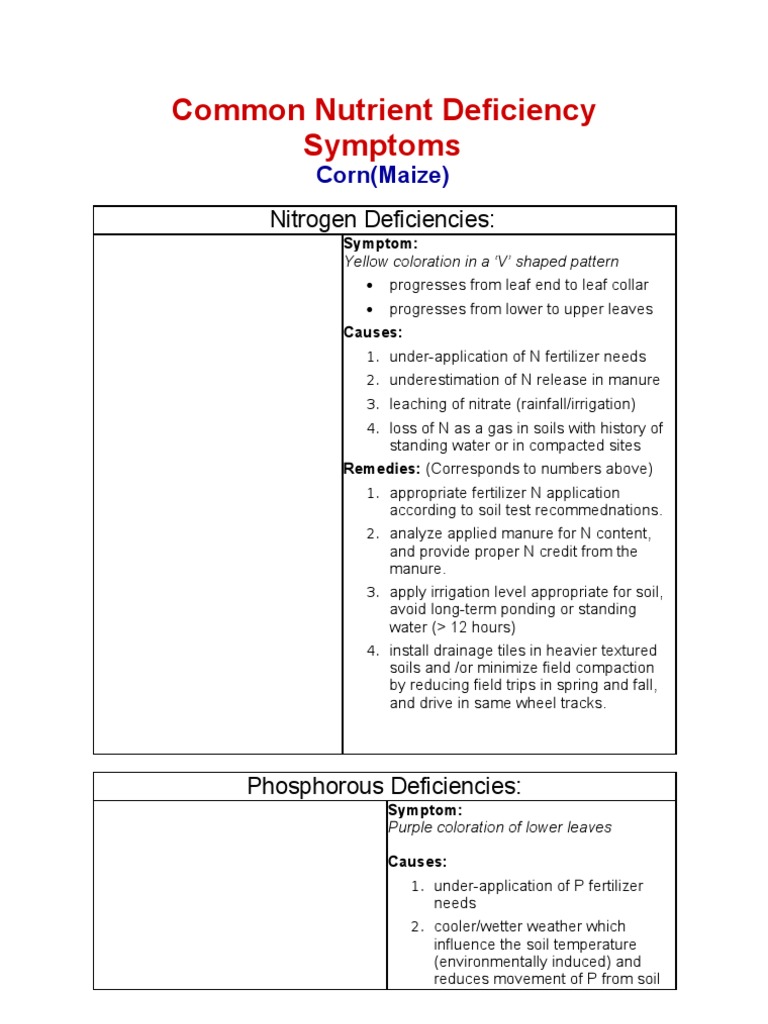 Common Nutrient Deficiency Symptoms: Nitrogen Deficiencies | PDF ...