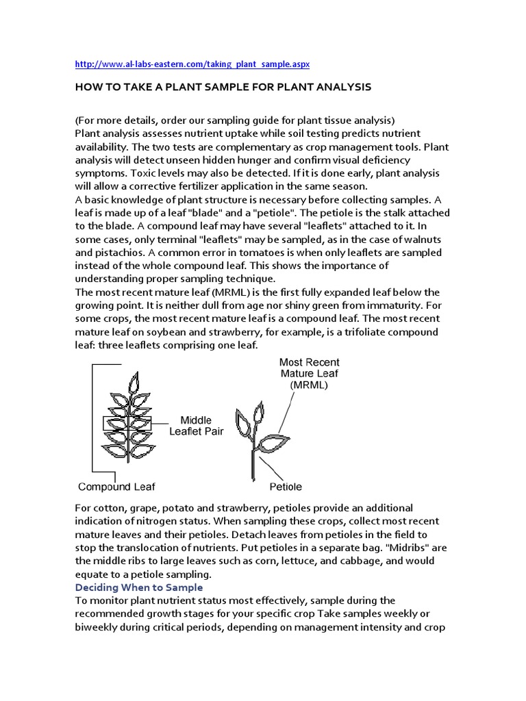 How To Take A Plant Sample For Plant Analysis | Soil | Plant Nutrition
