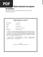 Certificado de acciones MODELO | Participación (Finanzas) | Gobierno