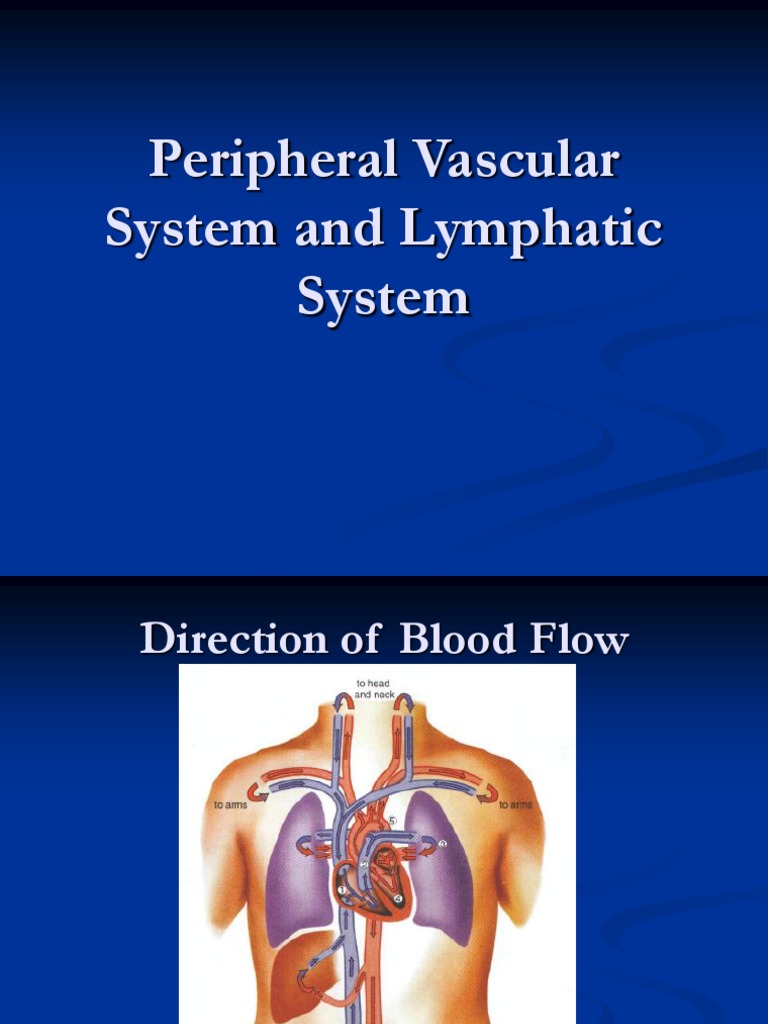 Vascular and Lymphatic System Overview | PDF | Pulse | Lymphatic System