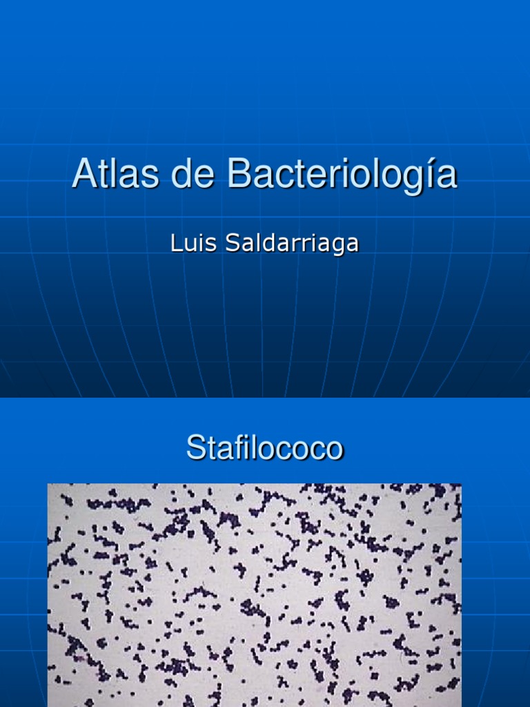 Atlas Bacteriologia | PDF