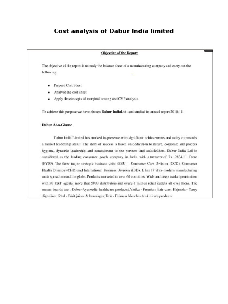 Cost Analysis Report Example PDF