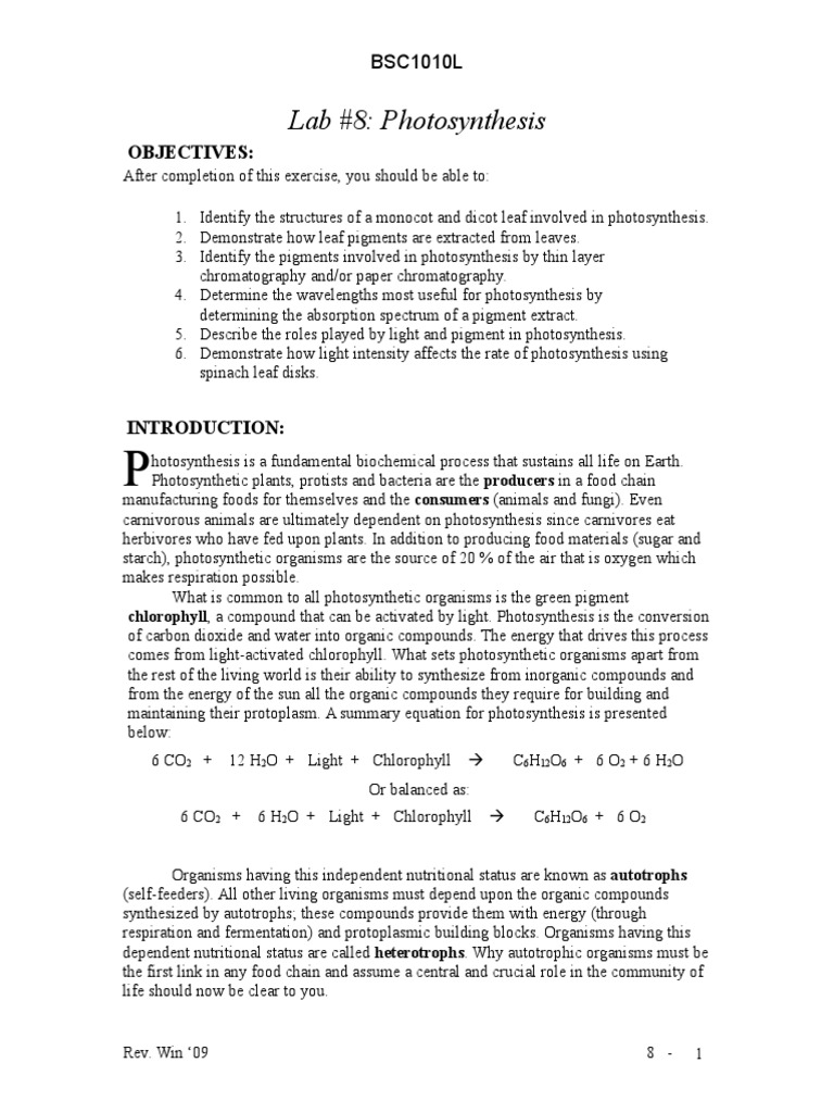 Lab - 8 Photosynthesis | PDF | Photosynthesis | Thin Layer Chromatography