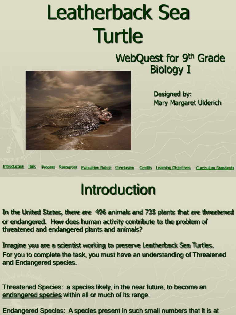 Leatherback Sea Turtle Conservation WebQuest | PDF | Ecological Niche ...