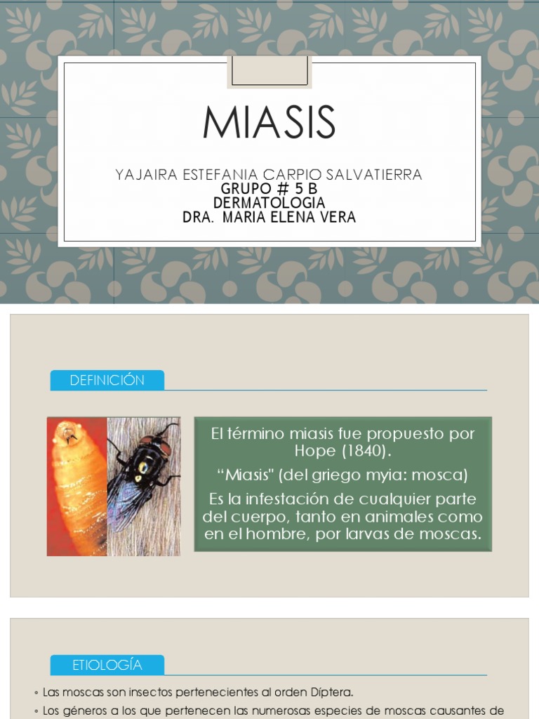 Definición y tipos de miasis | PDF | Mosca | Especialidades Medicas