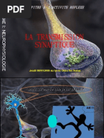 Cour Et Bilan Ppse Et Ppsi Sommation Temporelle Et Spatial | PDF ...