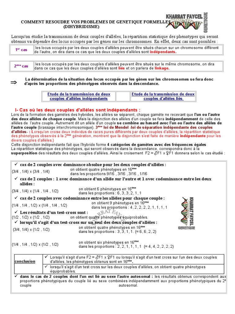 Comment Resoudre Vos Problemes de Genetique Formelle | PDF | Génotype ...