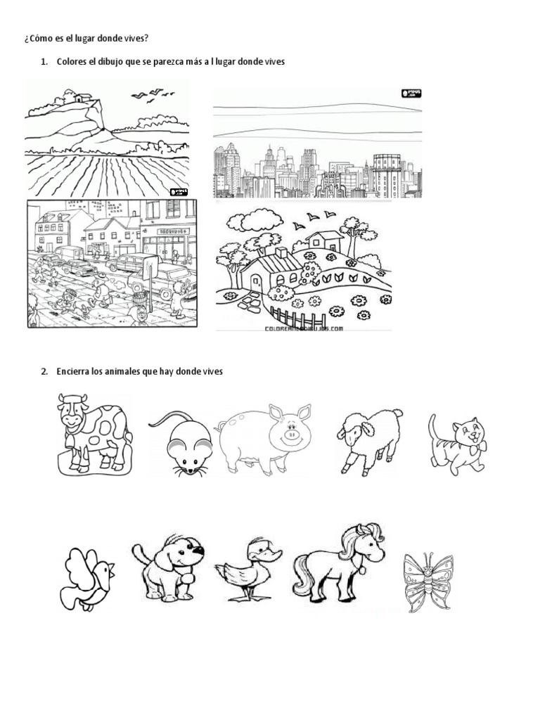 Actividades Primer Grado Cómo Es El Lugar Donde Vives | PDF