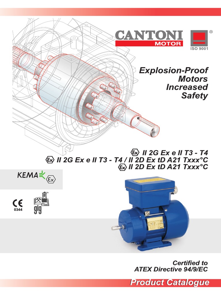 Motor Specification | Download Free PDF | Electromagnetism | Electricity