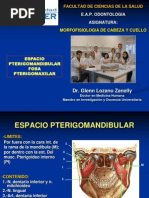 Anatomía de la Región Geniana | PDF | Cabeza y cuello humanos ...