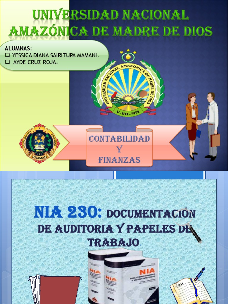 Nia 230. Exposición | PDF | Auditoría financiera | Contralor