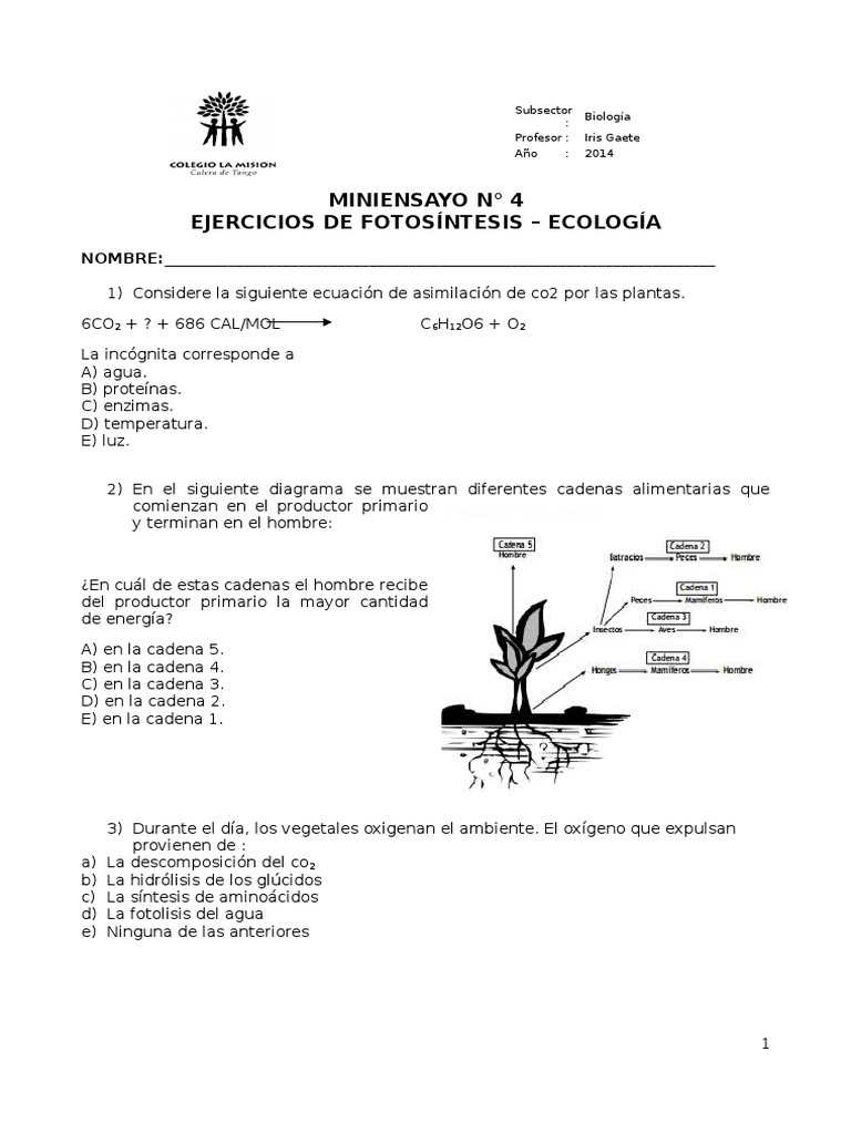 Ejercicios de Fotosintesis | PDF | Fotosíntesis | Nicotinamida Adenina ...