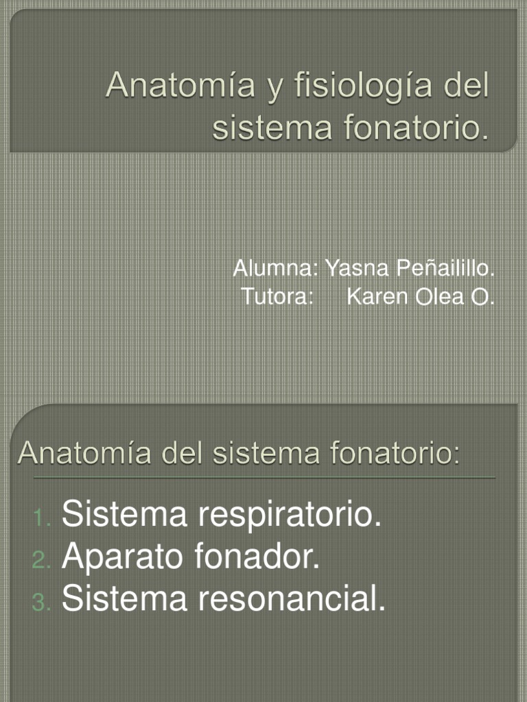 Anatomofisiología Del Sistema Fonatorio | PDF | Sistema respiratorio ...