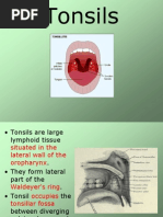 Acute Exudative Tonsillitis Guide | PDF | Immunology | Microbiology