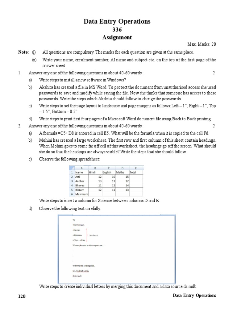 24d.data Entry Operation | PDF | Spreadsheet | Microsoft Word