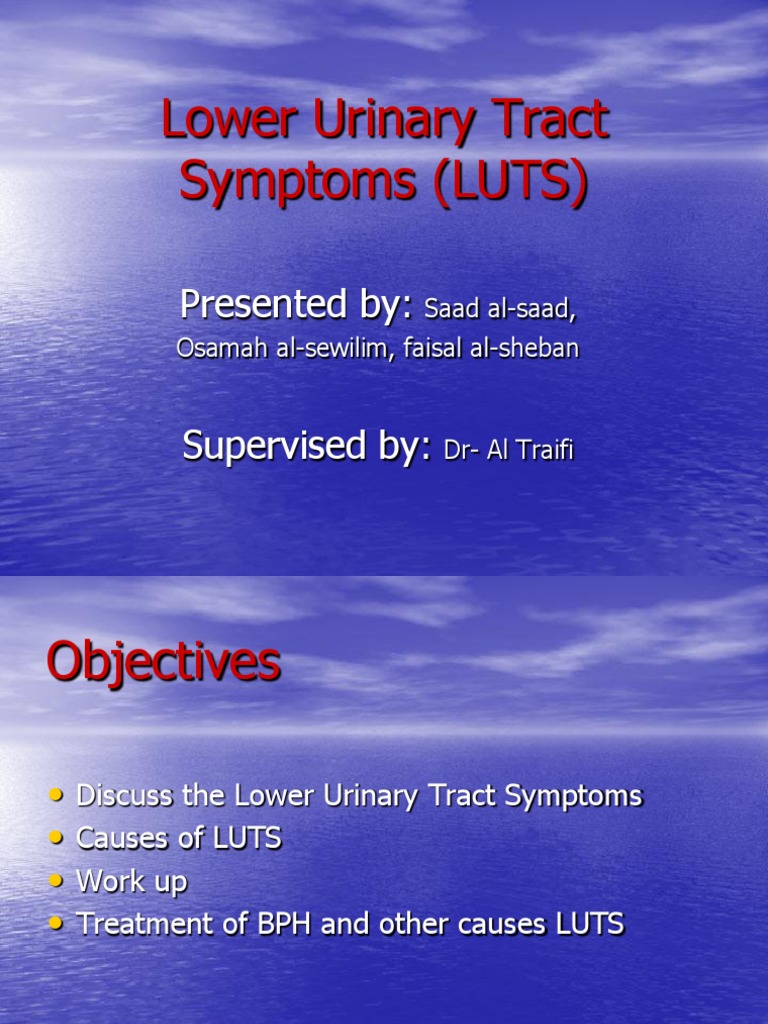 Luts | PDF | Urinary Incontinence | Urinary Tract Infection