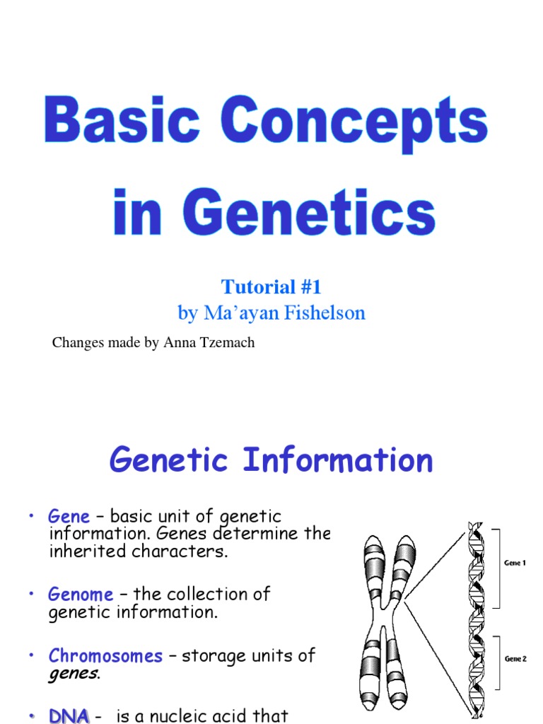 Basic Concepts in Genetics | PDF | Dominance (Genetics) | Allele