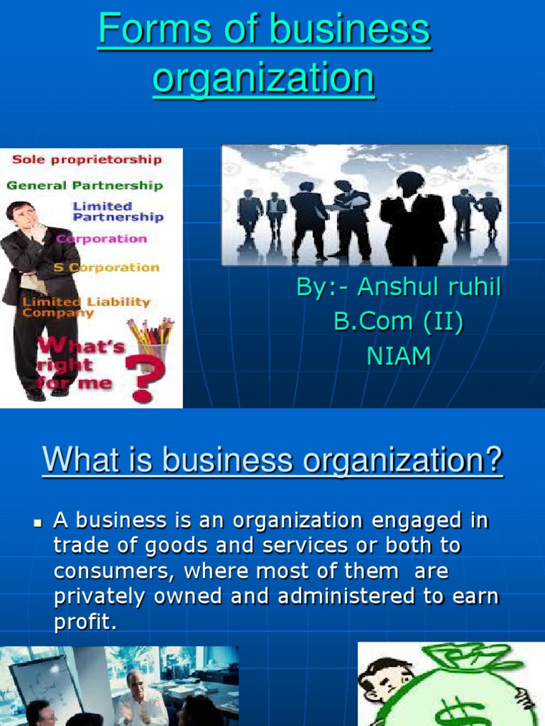 Forms of Business Organization | PDF
