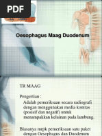 Thorax PA, AP Dan Lateral, RLD Dan LLD | PDF