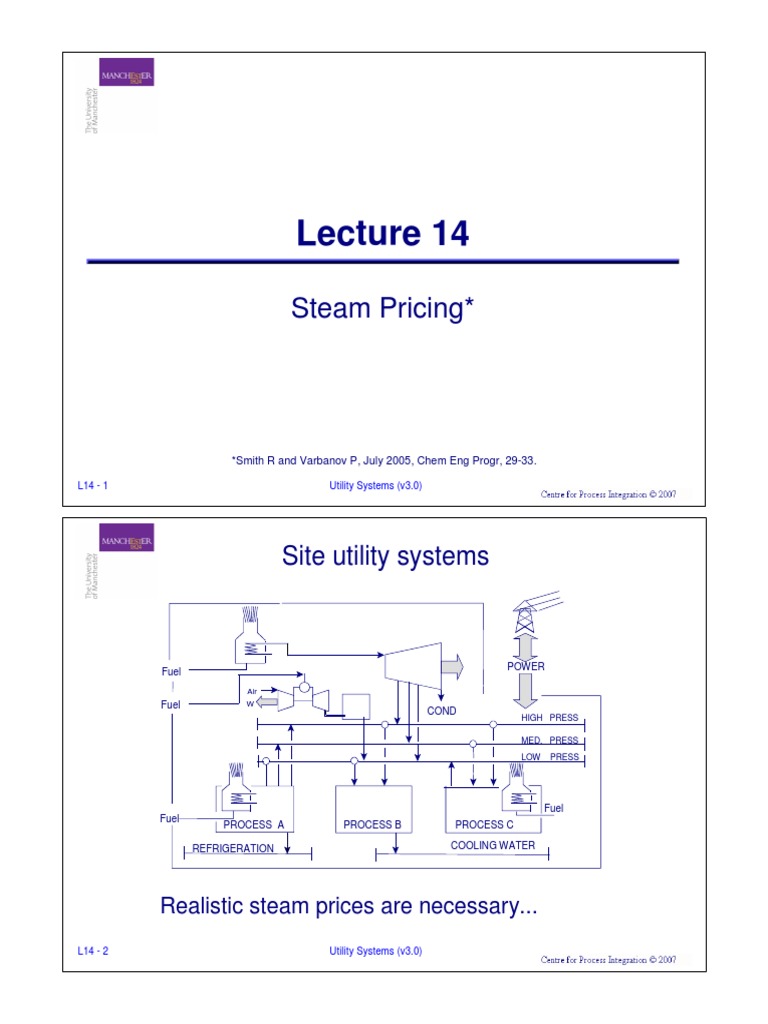 Lecture 14 Steam Pricing Modelling and Optimisation | PDF | Boiler | Steam