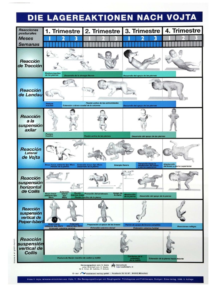 Reacciones posturales de Vojta