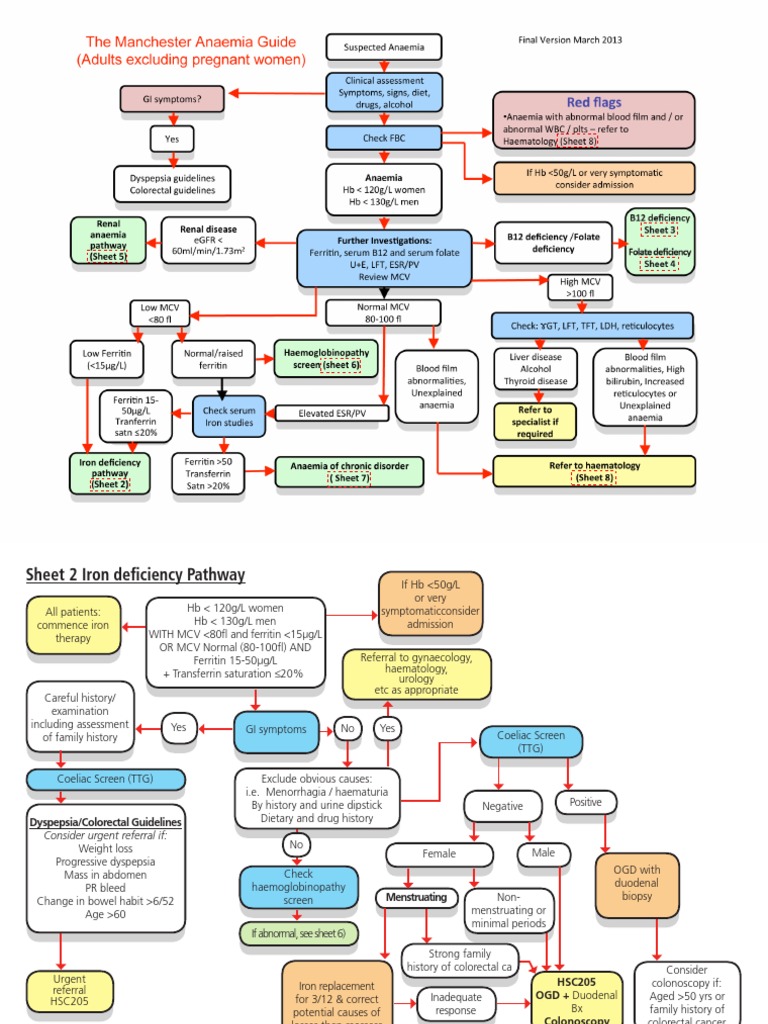 Manchester Anaemia Guide | PDF | Anemia | Vitamin B12