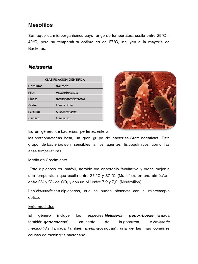 Criofilos y Mesofilos | Pseudomonas | Las bacterias