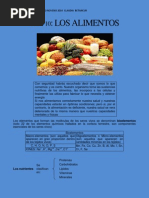 Visita Al Rastro | PDF | Carne | Matadero