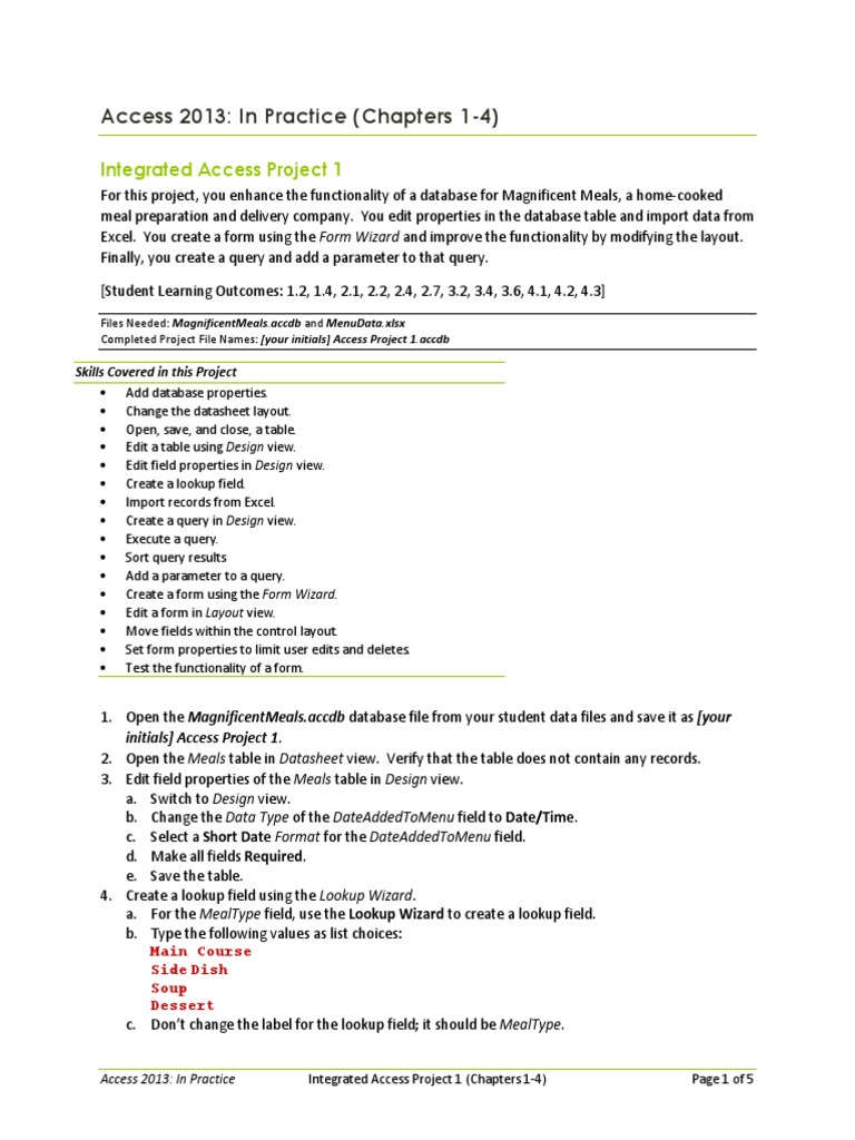 Access Integrated Project 1 | PDF | Microsoft Excel | Databases
