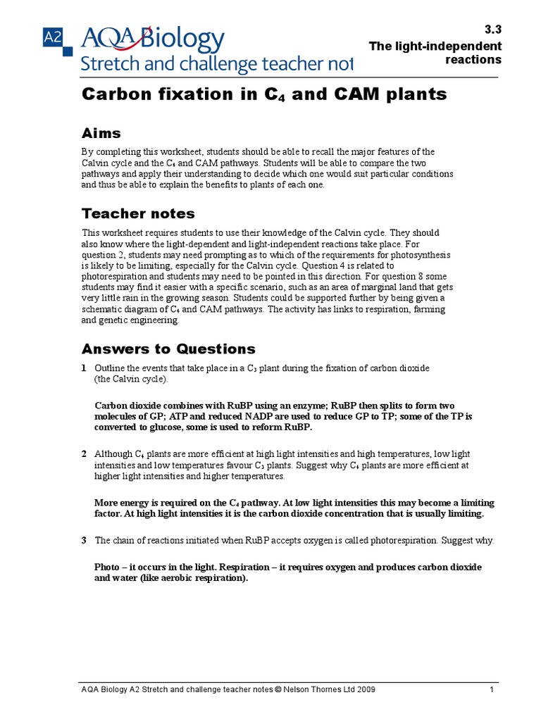 Carbon Fixation Teacher Notes | PDF | Photosynthesis | Photochemistry