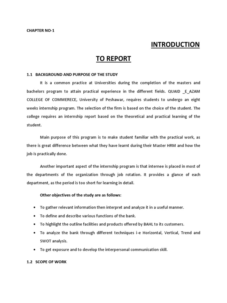 Internship Report 2 | PDF | Internship | Job Hunting