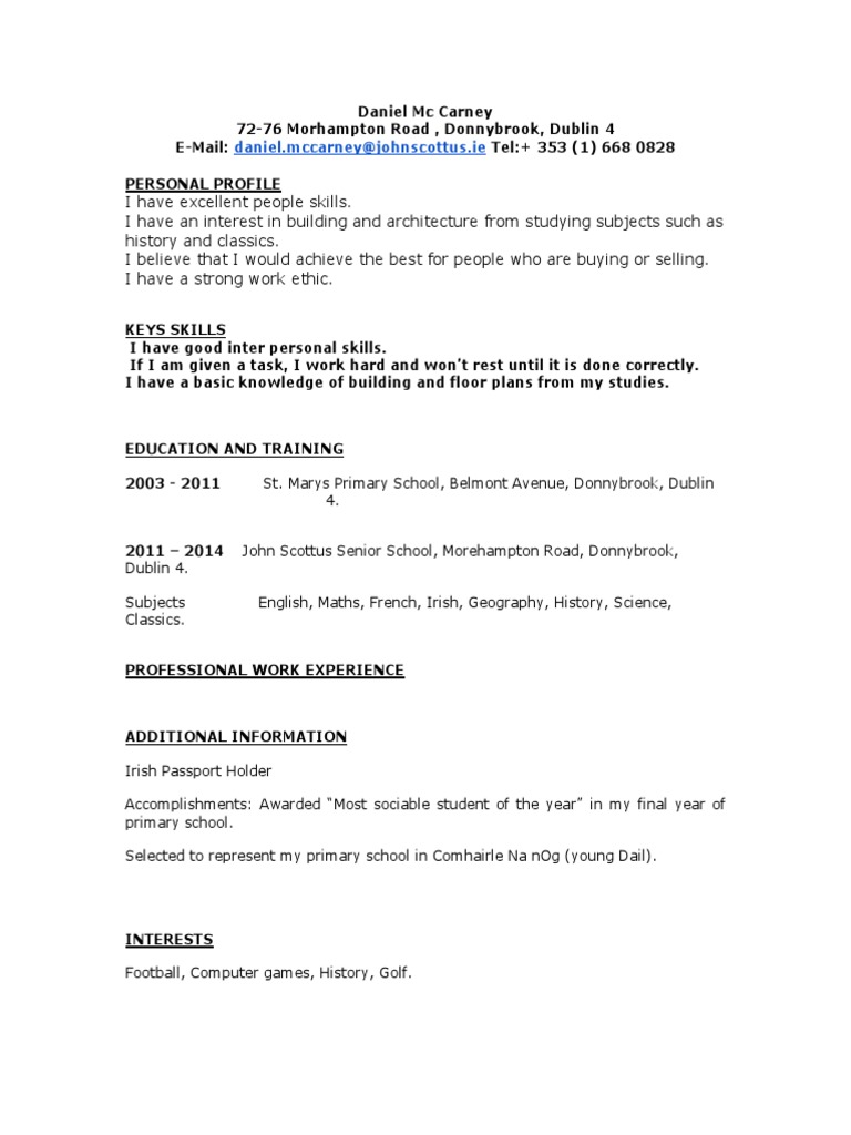 Daniel Mc Carney: Profile & Skills Overview | PDF | Career & Growth | Art