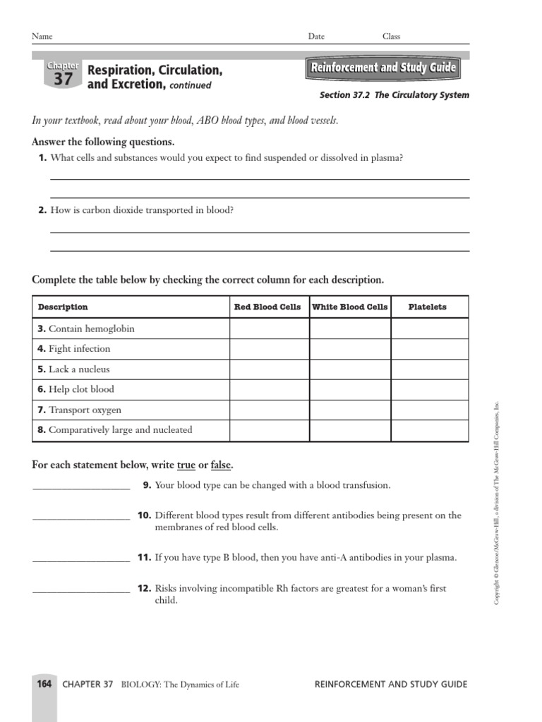 Worksheet Circulation Grade 10 PDF | PDF | Atrium (Heart) | Heart