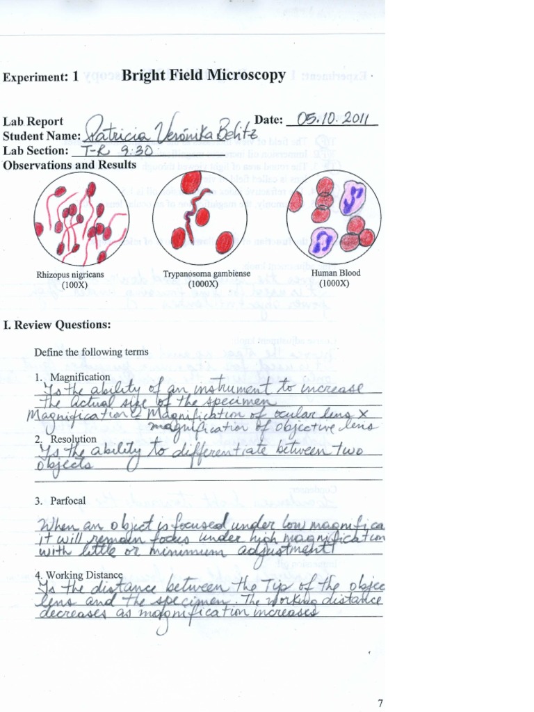 Microbiology Lab | PDF