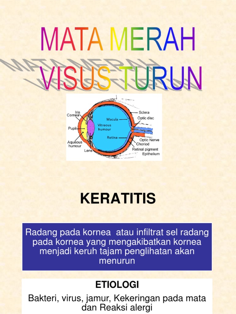 Mata Merah Visus Turun | PDF