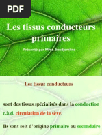 Cours 2-La Paroi Pectocellulosique PDF | PDF | Paroi cellulaire | Lignine