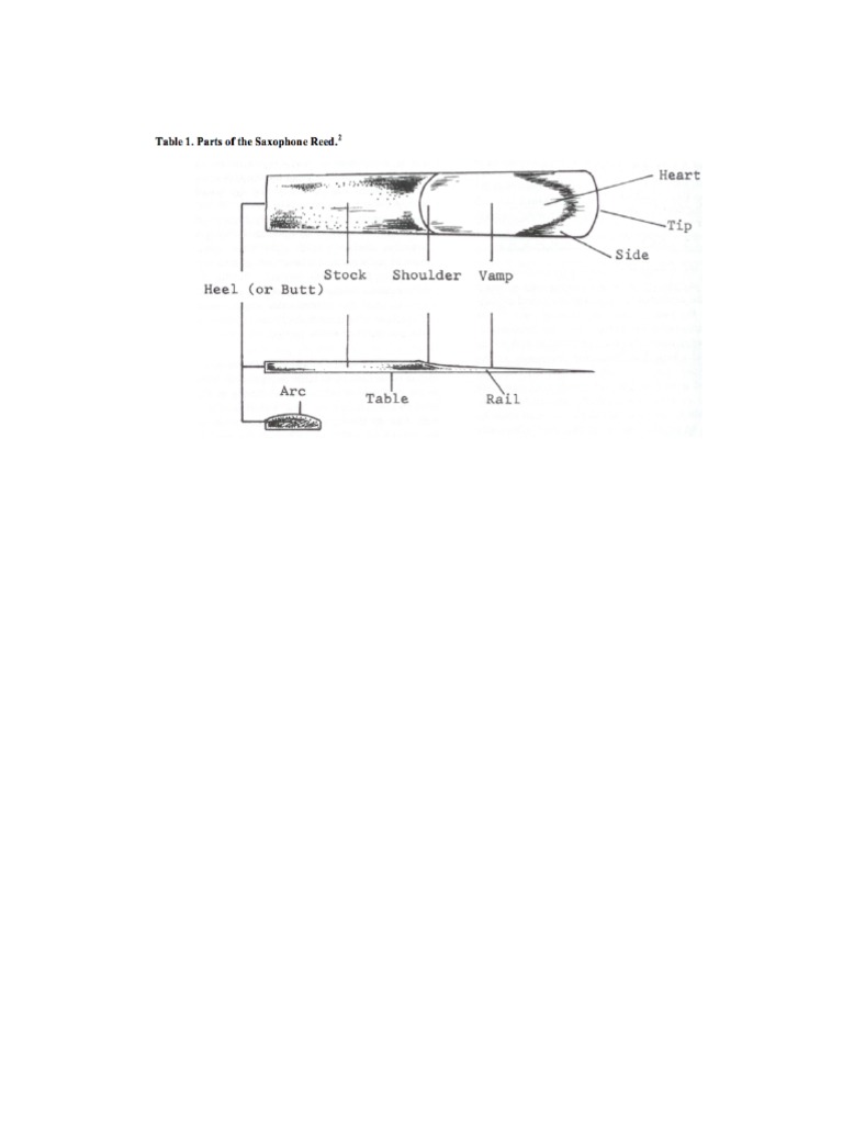 Oboe Reed Diagram | PDF