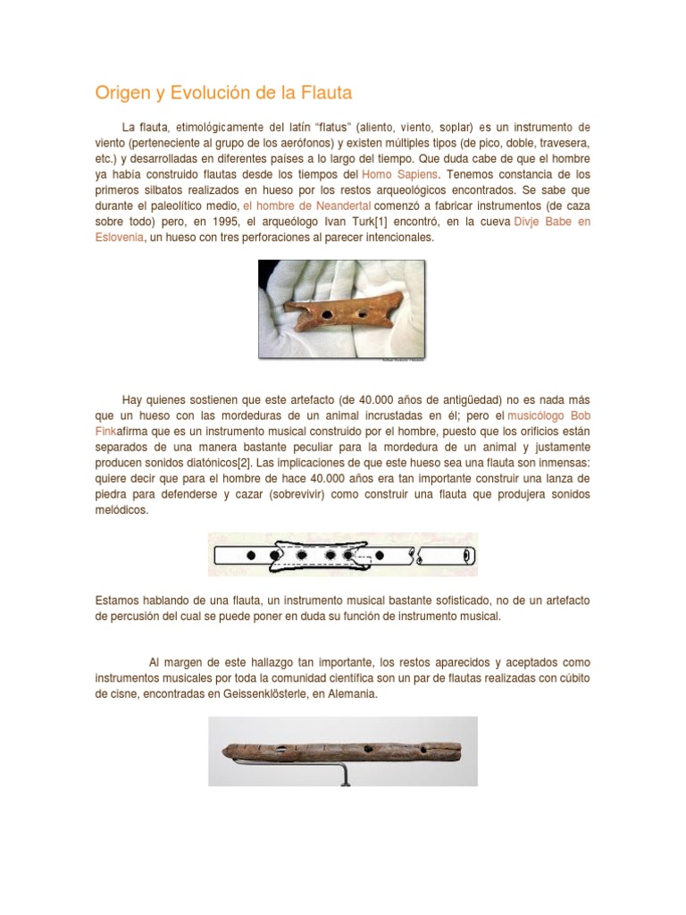 Origen y Evolución de la Flauta | PDF | Flauta | Instrumentos musicales